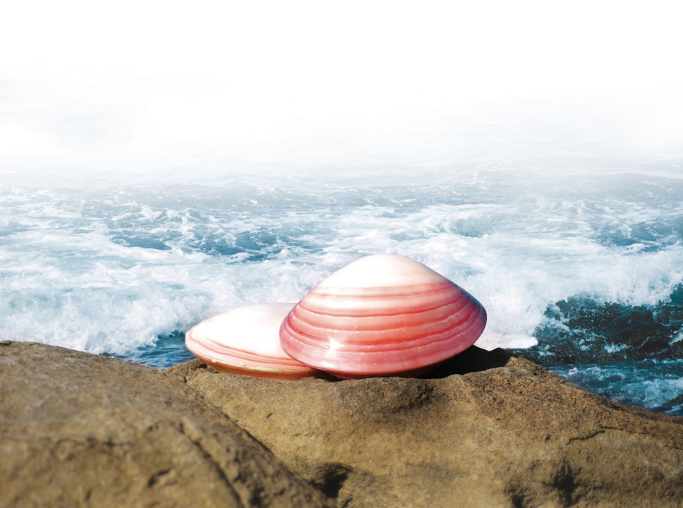 Massage aux Lava Shells - Hibiscus Massage